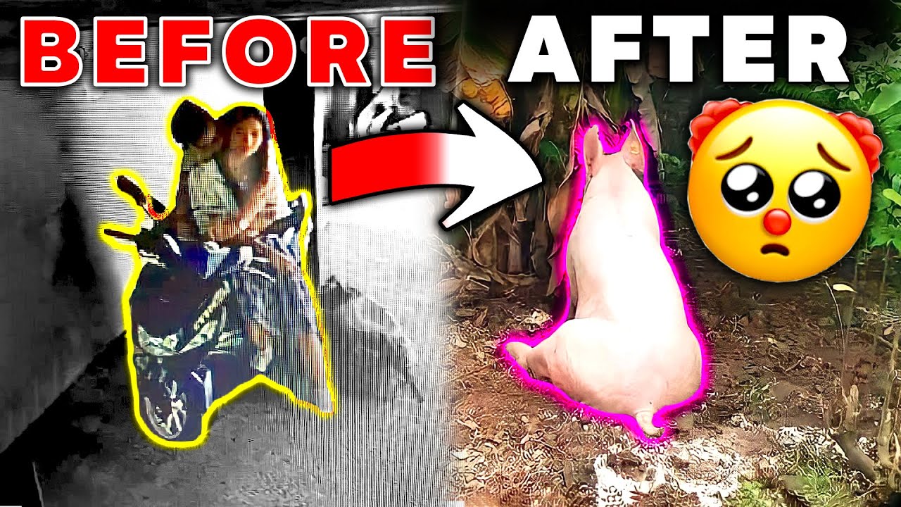 NALULUNGKOT AKO, Sabihin Mo WAG #pighati - YouTube