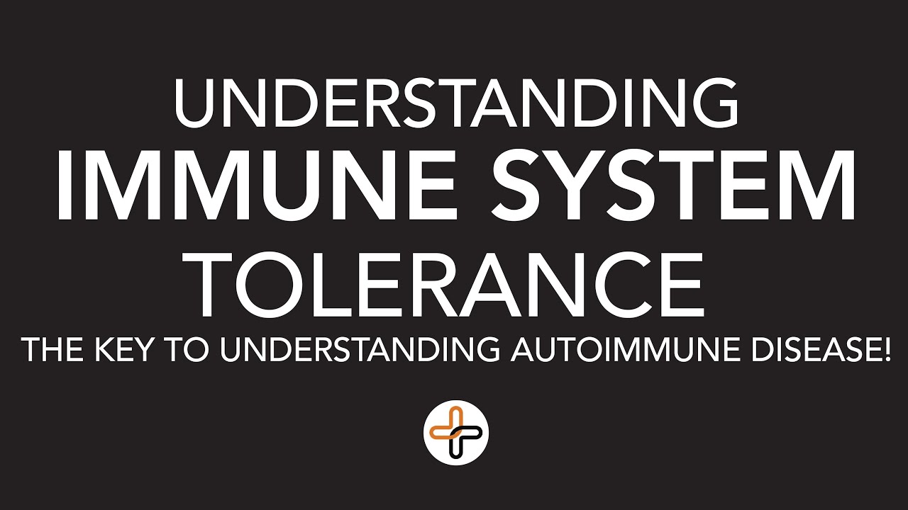 Understanding Immune System Tolerance - the Key to Understanding ...