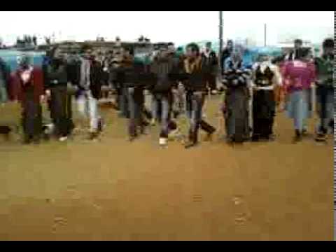 diyarbakır mılla köyü fatihin düğünü 1