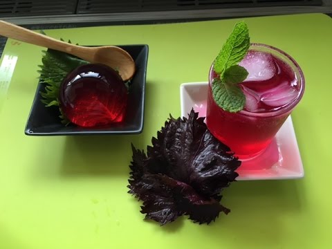 赤紫蘇ジュース 作り方 Shiso Juice red perilla juice How to make perilla（shiso ...