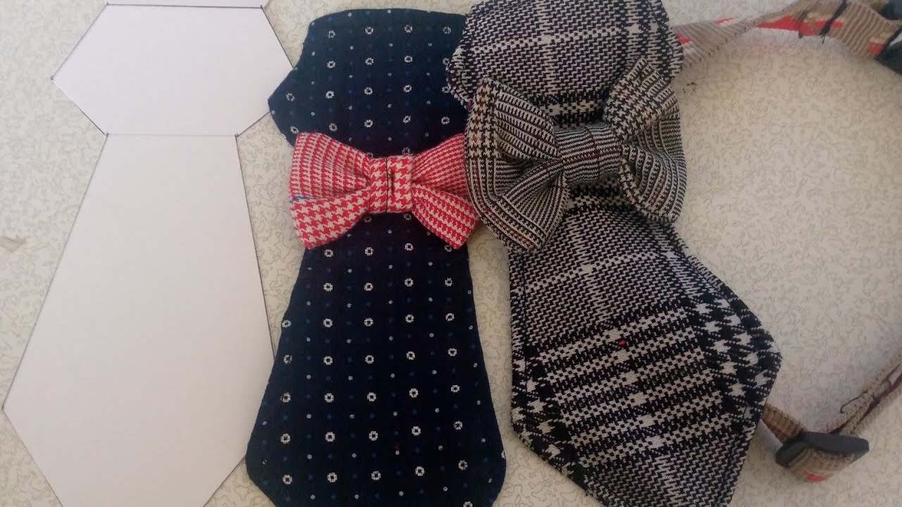 Cómo hacer el molde de una corbata muy fácil para nuestra mascota - YouTube