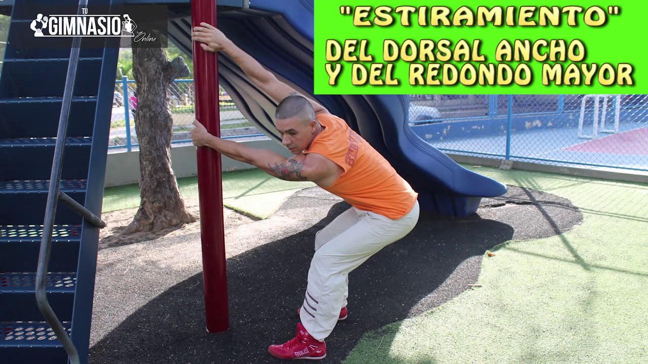 Ejercicios Para Fortalecer Musculo Redondo Mayor - Citas Romanticas ...