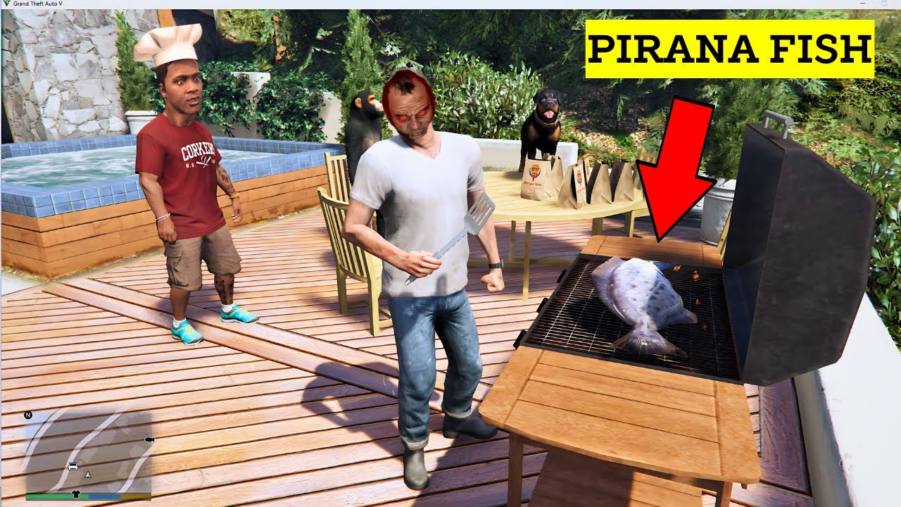 GTA : 5 trevor is cooking pirana fish for franklin in GTA V - YouTube