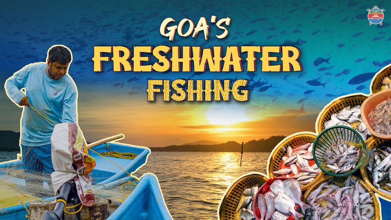 Goa's Freshwater Fishing | Trapped Rivers of Goa | Goa Stories Special ...