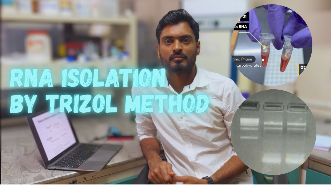 RNA Isolation from Plant Tissue (TRIZOL Protocol) including its ...
