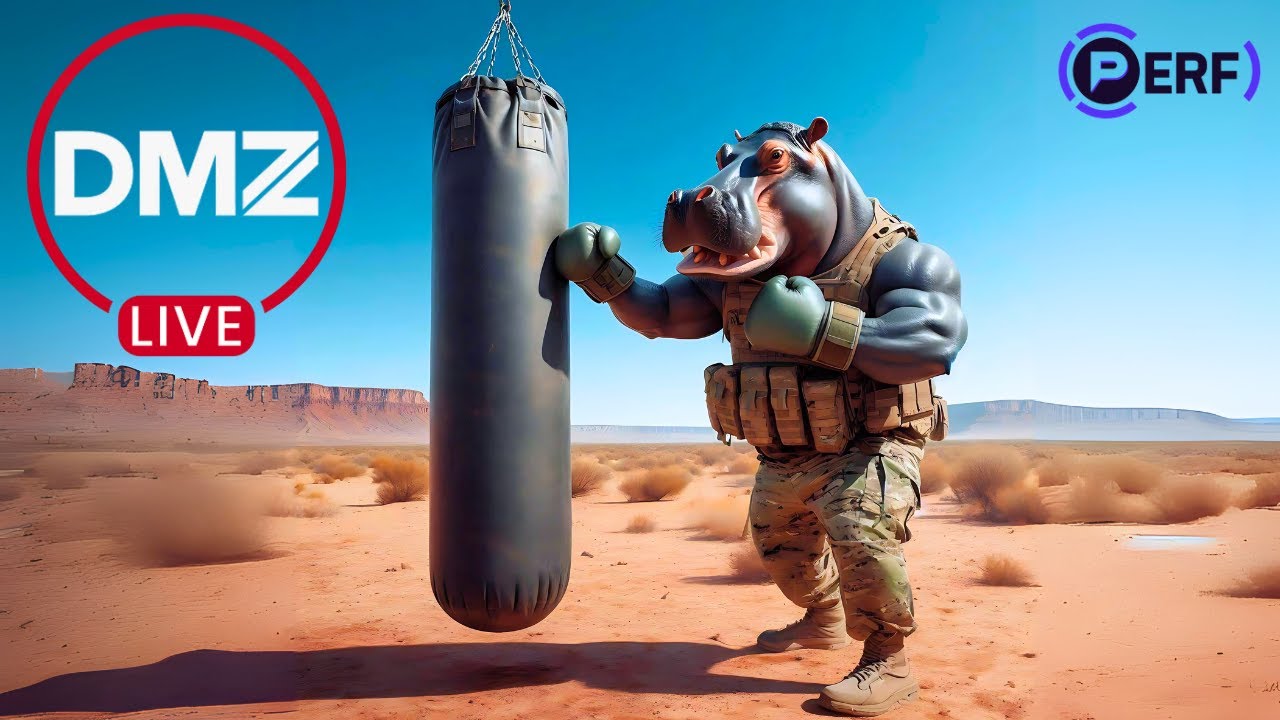 Live DMZ - DMZ punching bag - YouTube