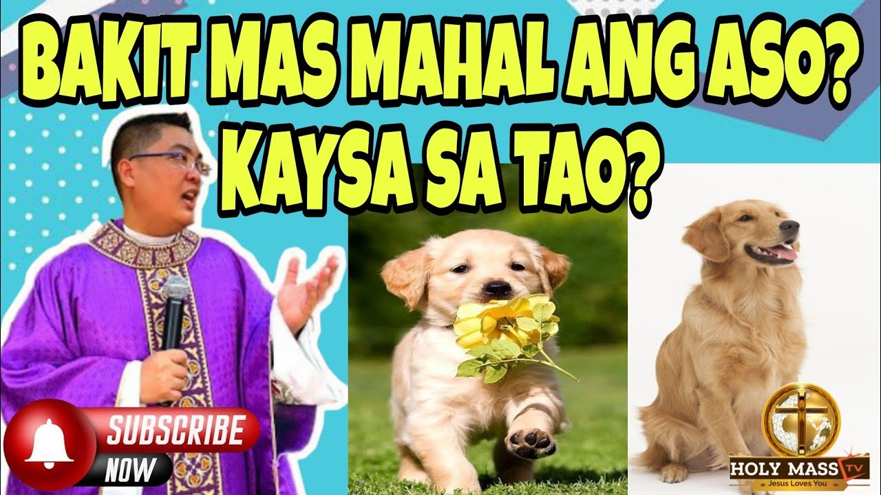 BAKIT MAS MAHAL ANG ASO? KAYSA SA TAO | Holy Mass TV #motivation #god # ...