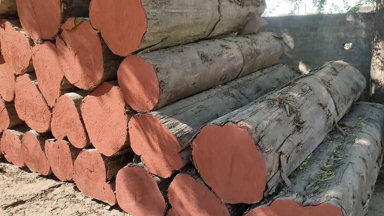 Sami Burma teak(Shiv timber unjha 9825213105) - YouTube