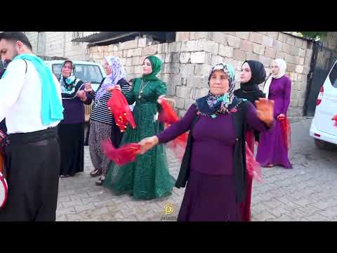 Fatmanur ile Hasan Çiftimizin Kına Töreni Bölüm 1#araban #pirlantaevents #aşağısöğütlüdüğünleri