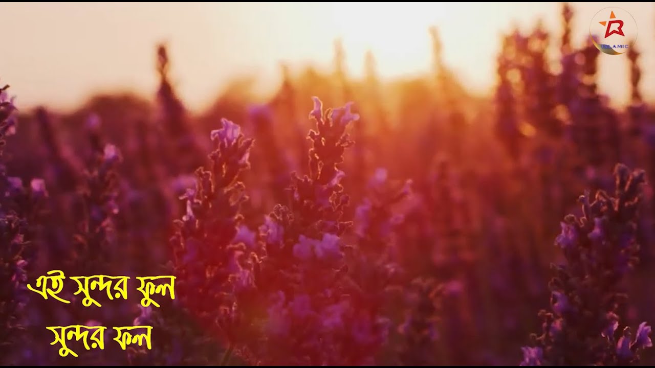 এই সুন্দর ফুল, সুন্দর ফল । বাংলা গজল। মেজবাহ ঝিনুক। Islamic Song/ Ei ...