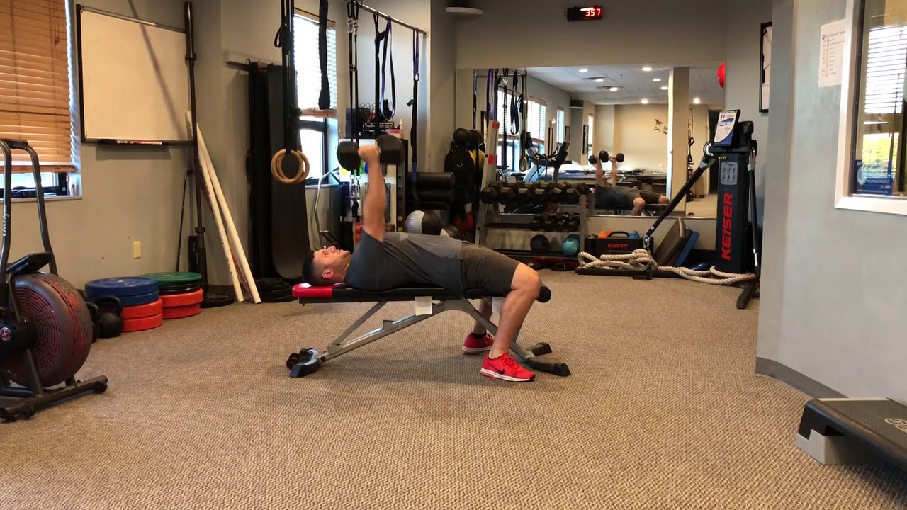 Matthew Ibrahim | DB Bench Press - YouTube