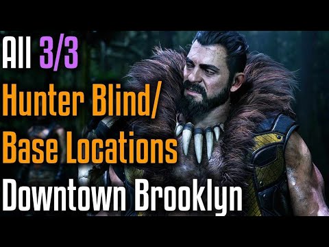 ALL 2/2 Hunter Blind Locations + 1/1 Hunter Base In Downtown Brooklyn ...
