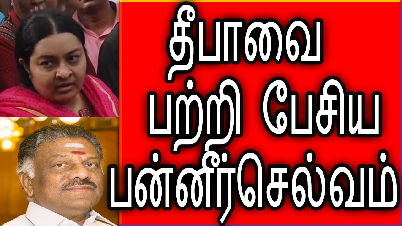 PANNEER SELVAM SPEAK ABOUT DEEPA | தீபாபற்றி பேசிய பன்னீர்செல்வம் ...