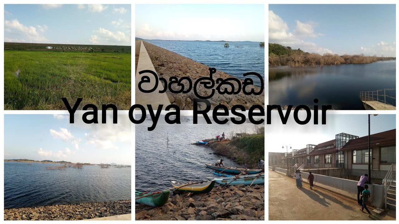 #Yan_Oya_Reservoir. යාං ඔය ජලාශ ව්‍යාපෘතිය #Vahalkada #Trincomalee ...