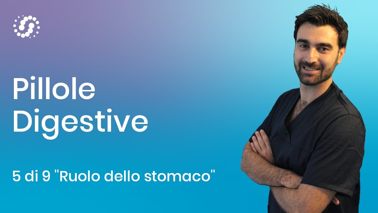 Le funzioni dello stomaco nella digestione. Pillole Digestive Ep. 5 ...