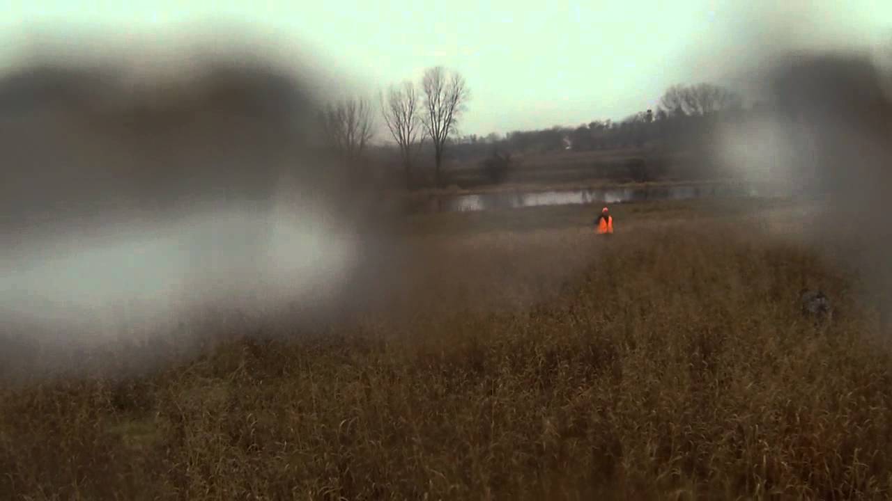 Wern Valley 12-9-12 - YouTube