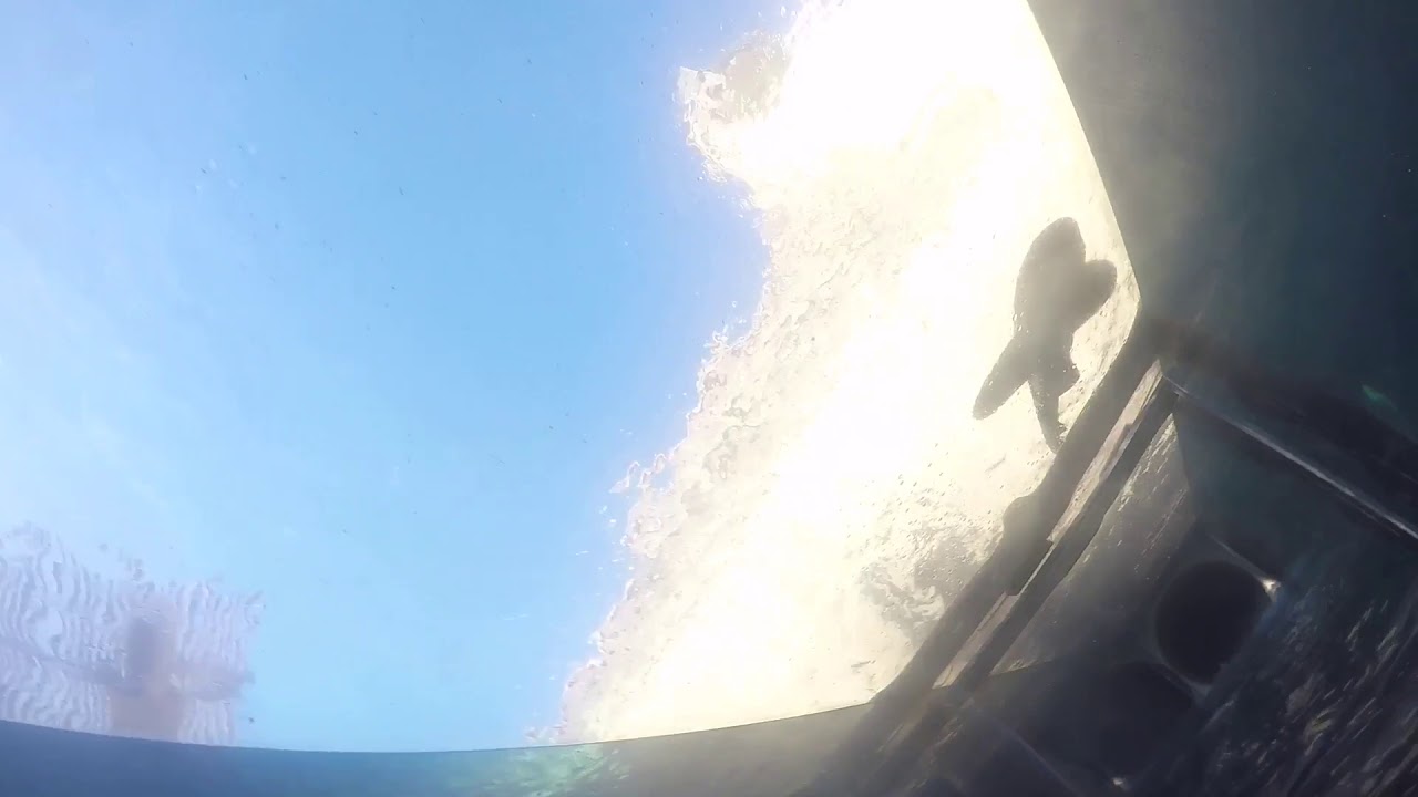 Shark Attack Waterslide at the Atlantis The Palm Aquaventure Waterpark ...