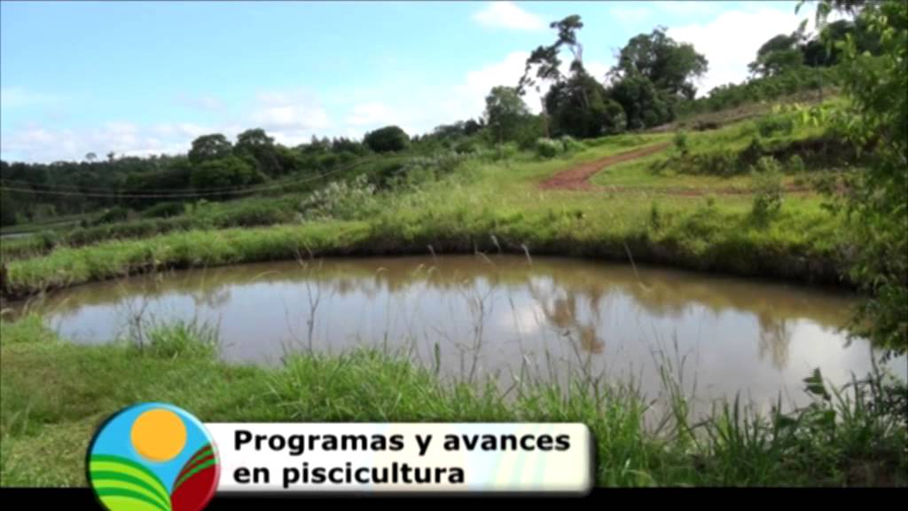Mas Produccion 20.12.14 bl1 - YouTube