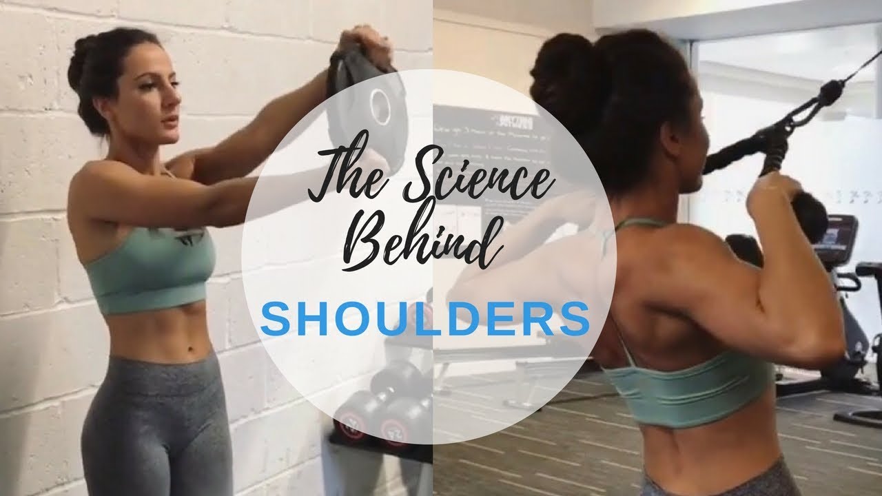 SHOULDER SCIENCE: A Simple and Informative Guide. - YouTube
