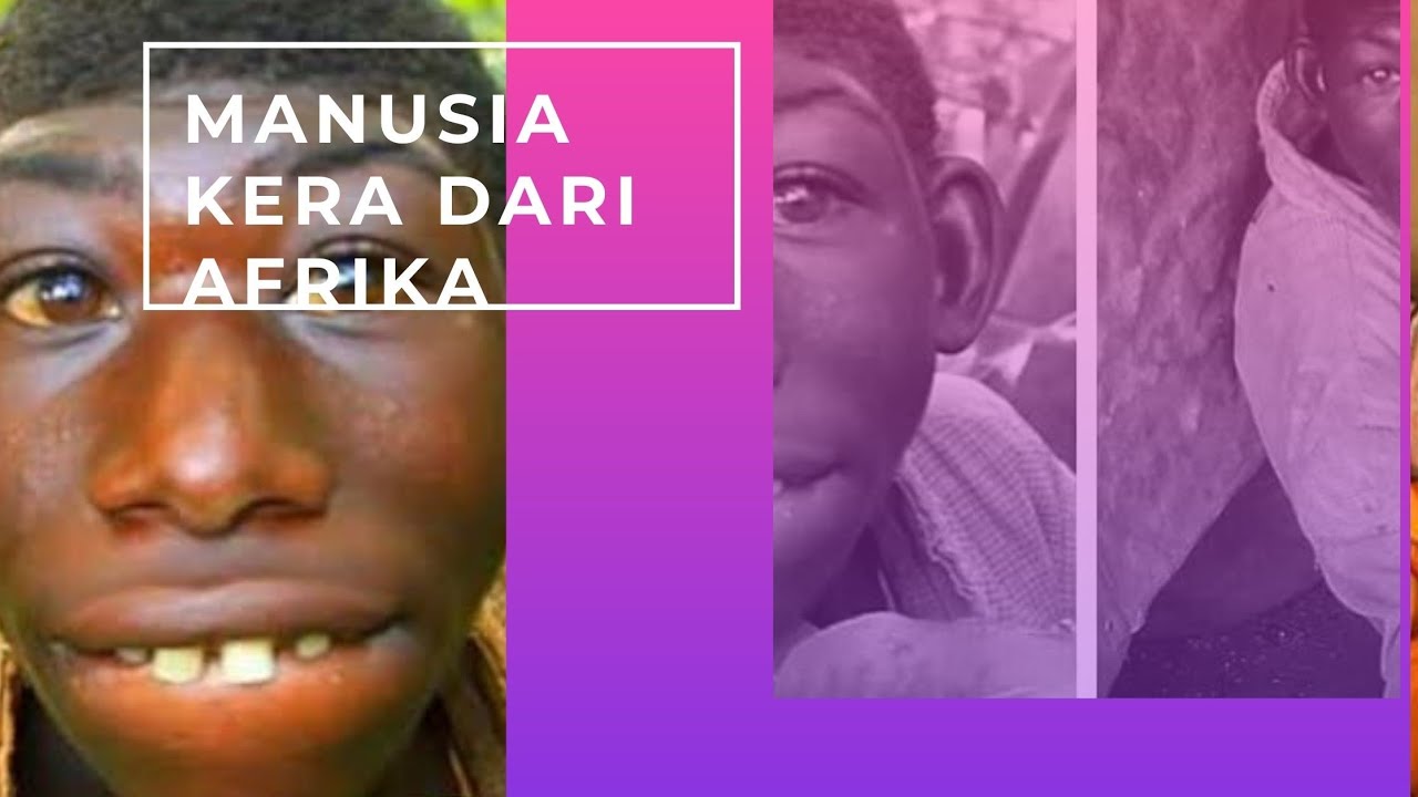 Zanziman ellie manusia kera dari afrika - YouTube