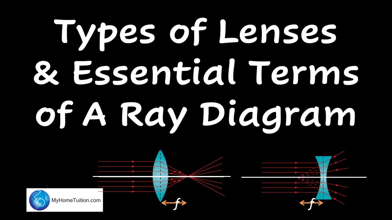 Types of Lenses and Essential Terms of A Ray Diagram | Light and Optics ...