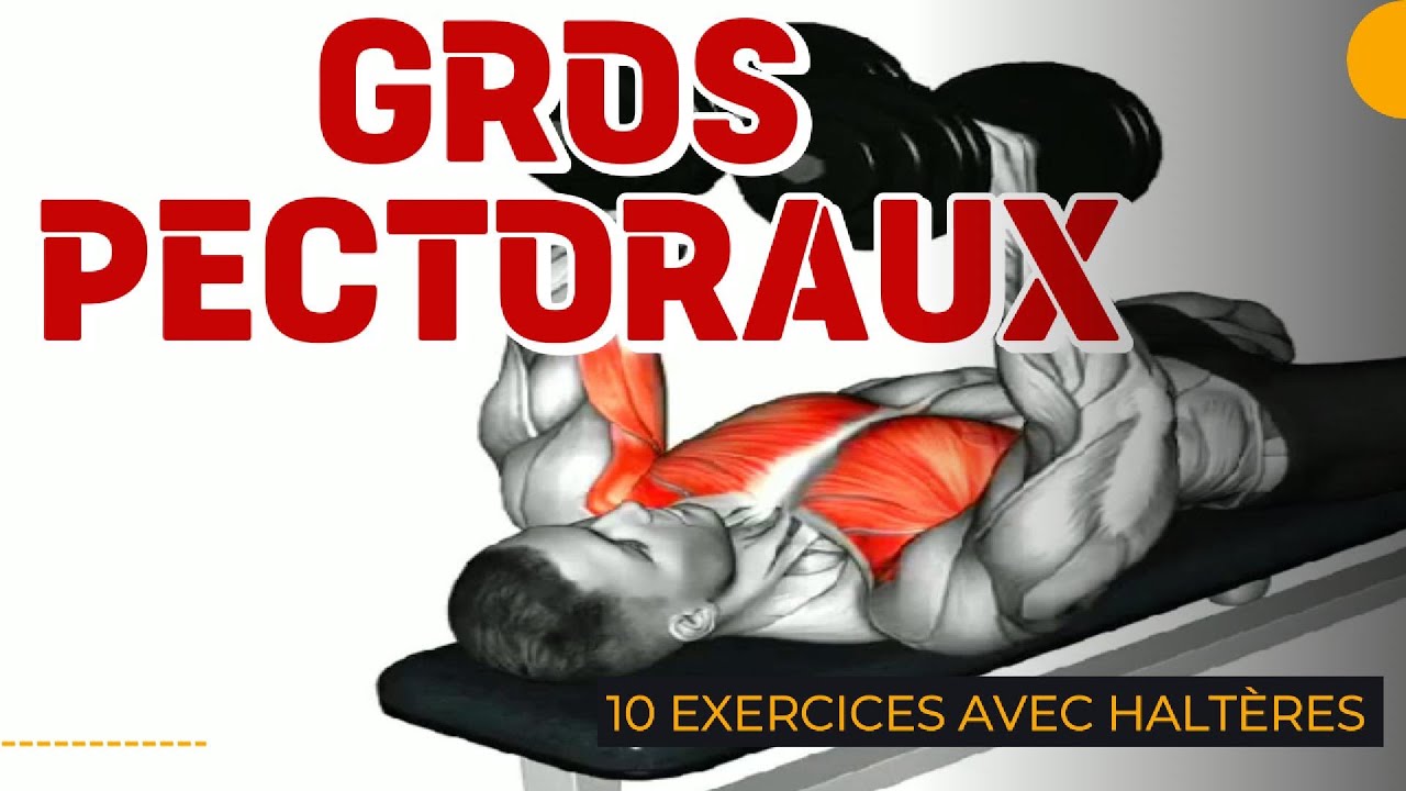 gros pectoraux avec haltères| 10 exercices ciblant différentes zones de ...