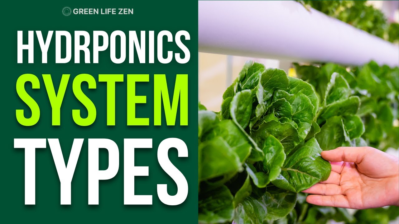 Hydroponics Unearthed: 6 Different Types of The Soil-less Cultivation ...