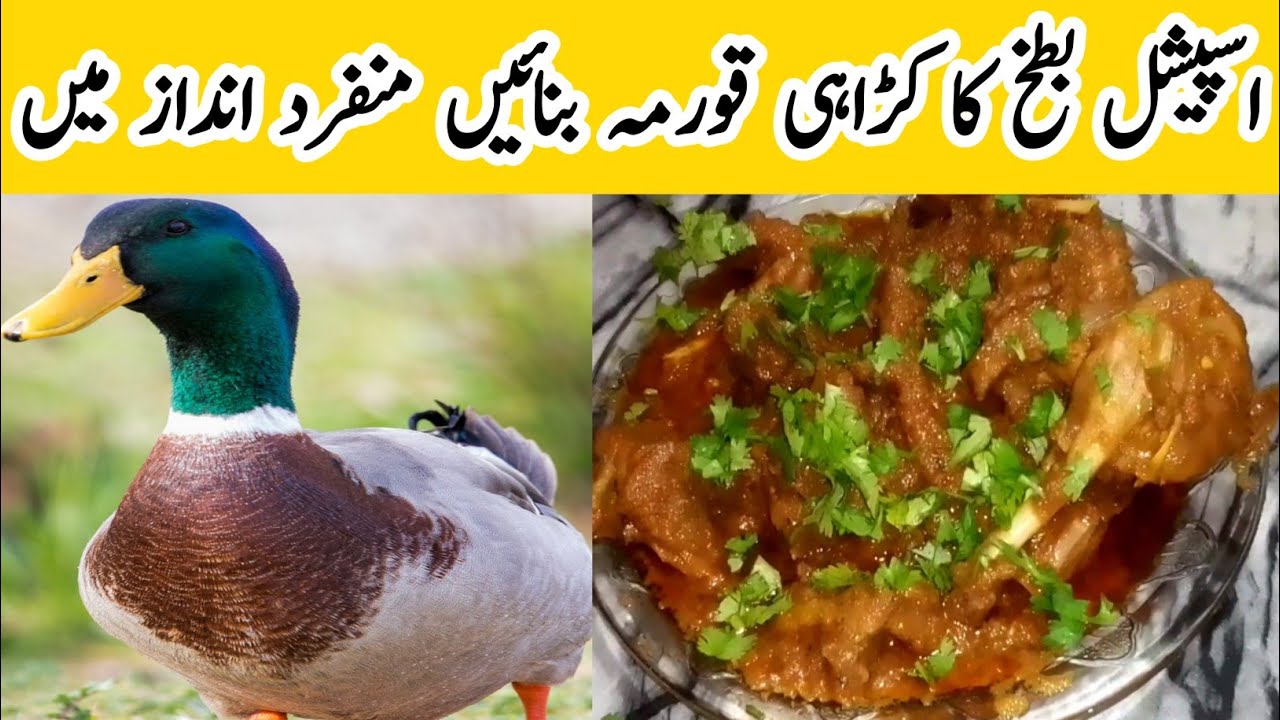 Duck Korma Recipe by Delicious Food Recipes / Delicious Food Recipes ...