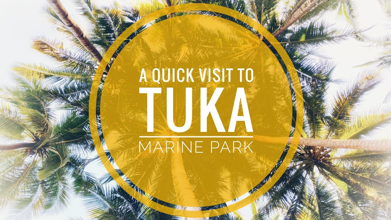 Tuka Marine Park in Kiamba Sarangani - YouTube