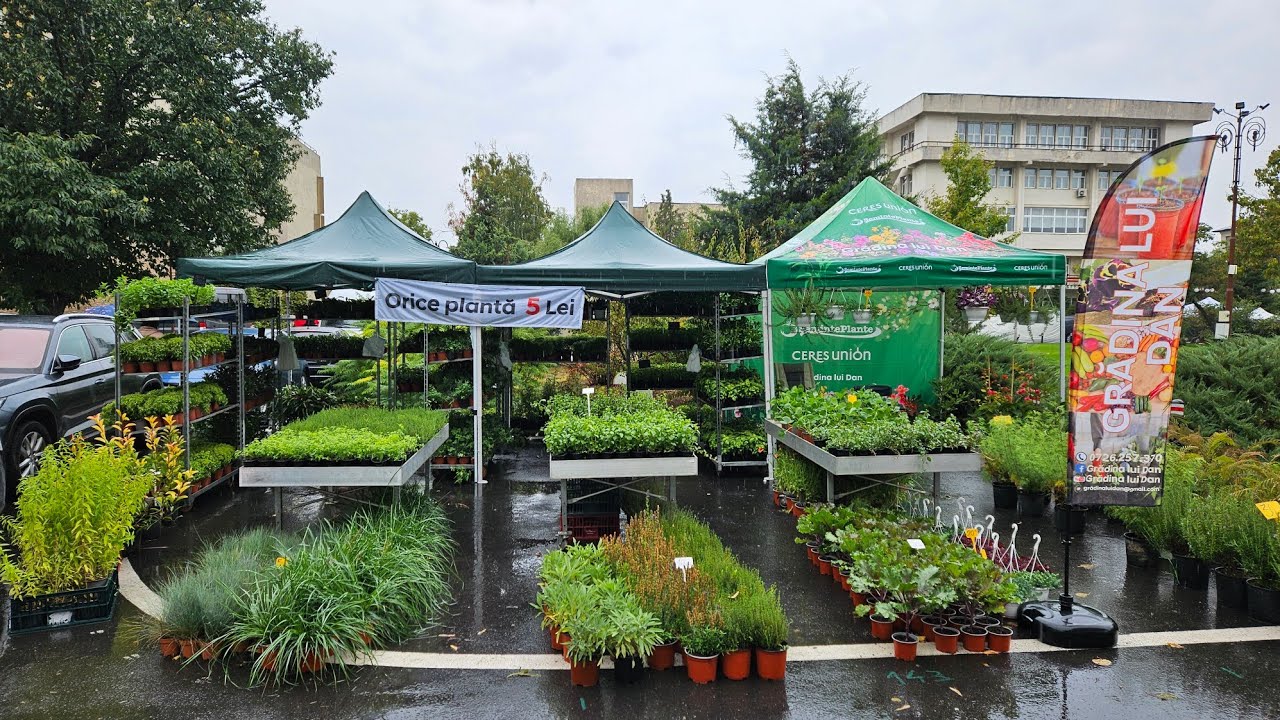 Standul Gradina lui Dan la Toamna Horticolă 2025! - YouTube