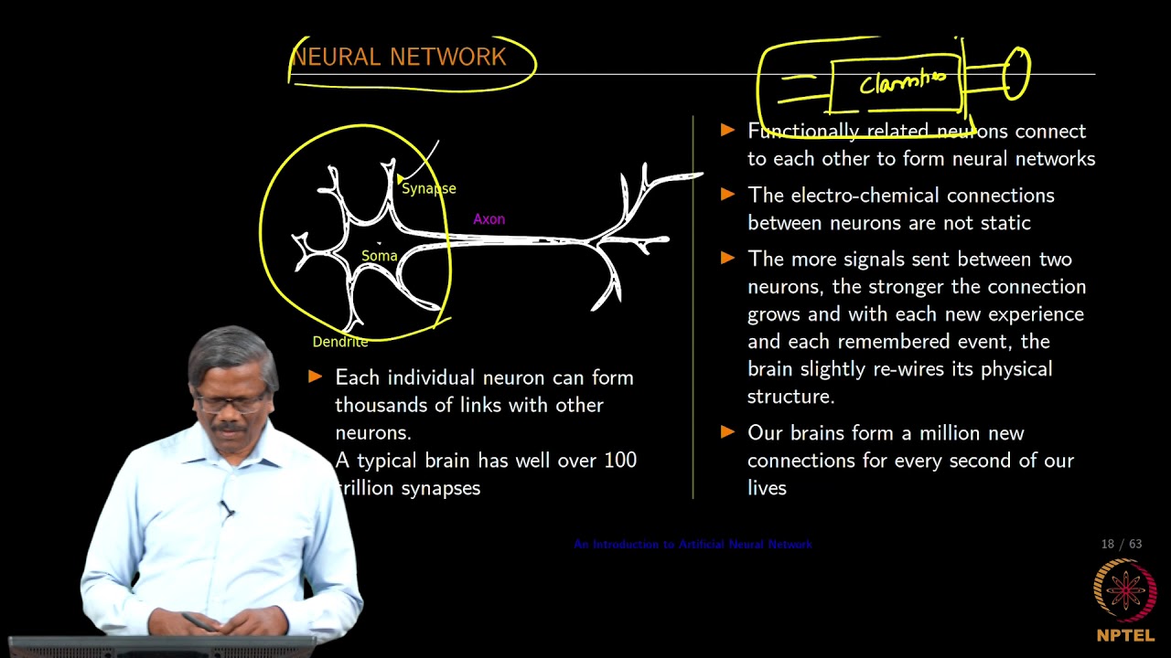 Biological Neural Network - YouTube