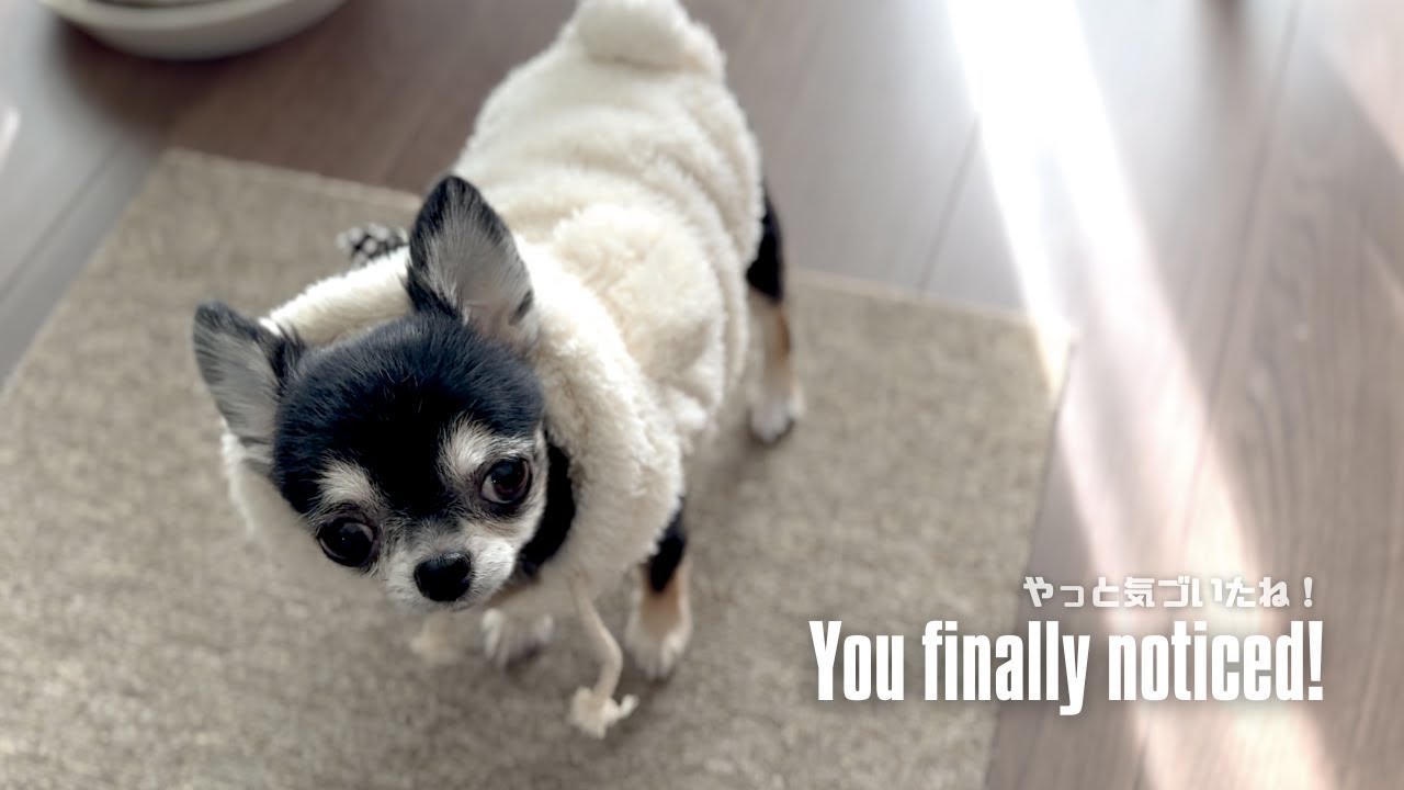 You finally noticed! - Nene - YouTube
