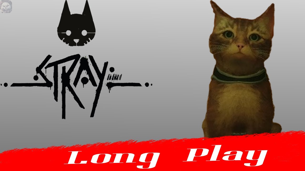 Stray - Long Play Part 1 - YouTube