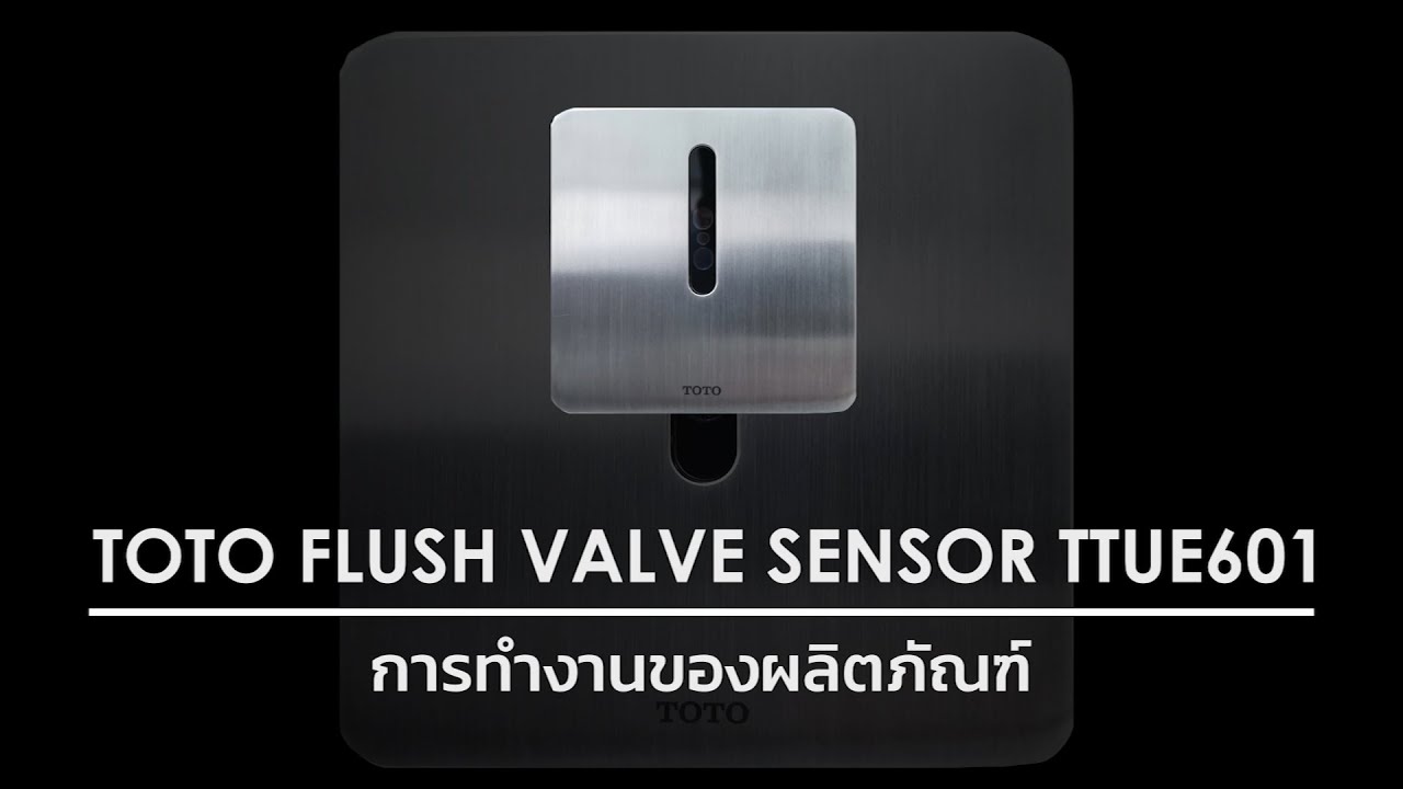 TOTO Flush Valve Sensor TTUE601 การทำงานของผลิตภัณฑ์ - YouTube