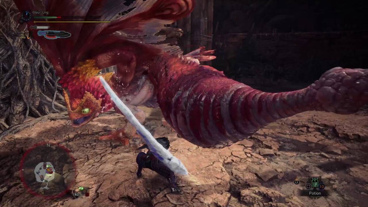 Coral Pukei SA- Glaur 4'38" - YouTube