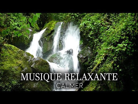 Musique Zen Nature - Relaxation Pour se Détendre - Méditation pour Dormir