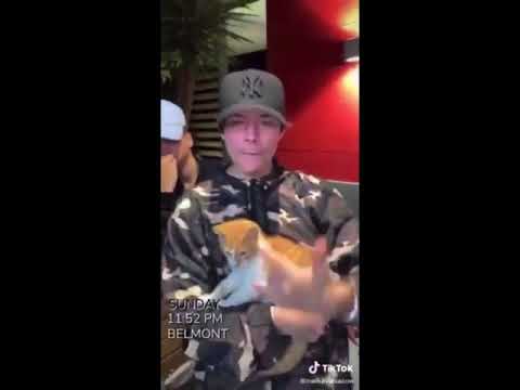 Eshay cat named lobob - YouTube