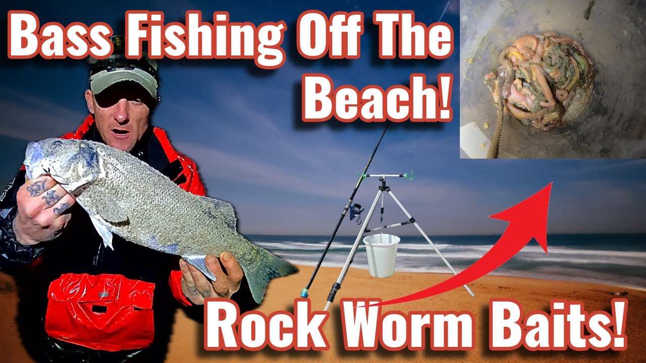 Bass Fishing UK - BIG Tides! BIG Swell! - Perfect Bass Feeding ...