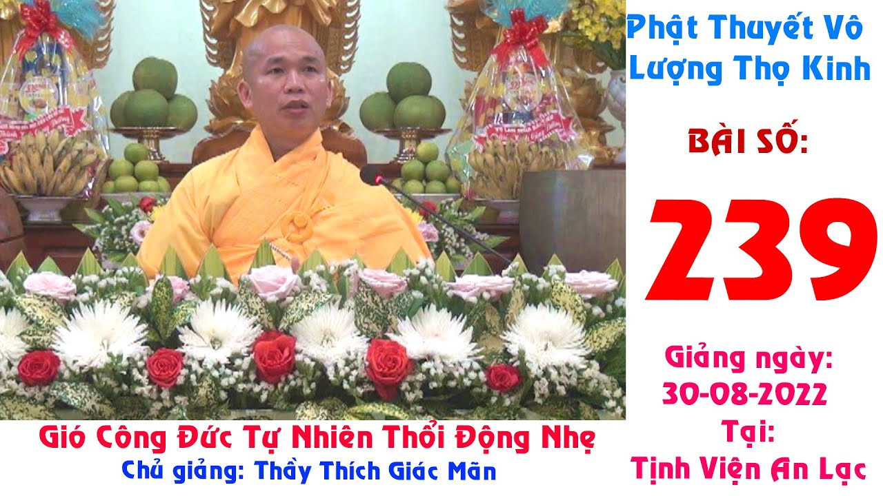 239 Kinh Vô Lượng Thọ Như Lai Chủ Giảng Thầy Thích Giác Mãn - YouTube