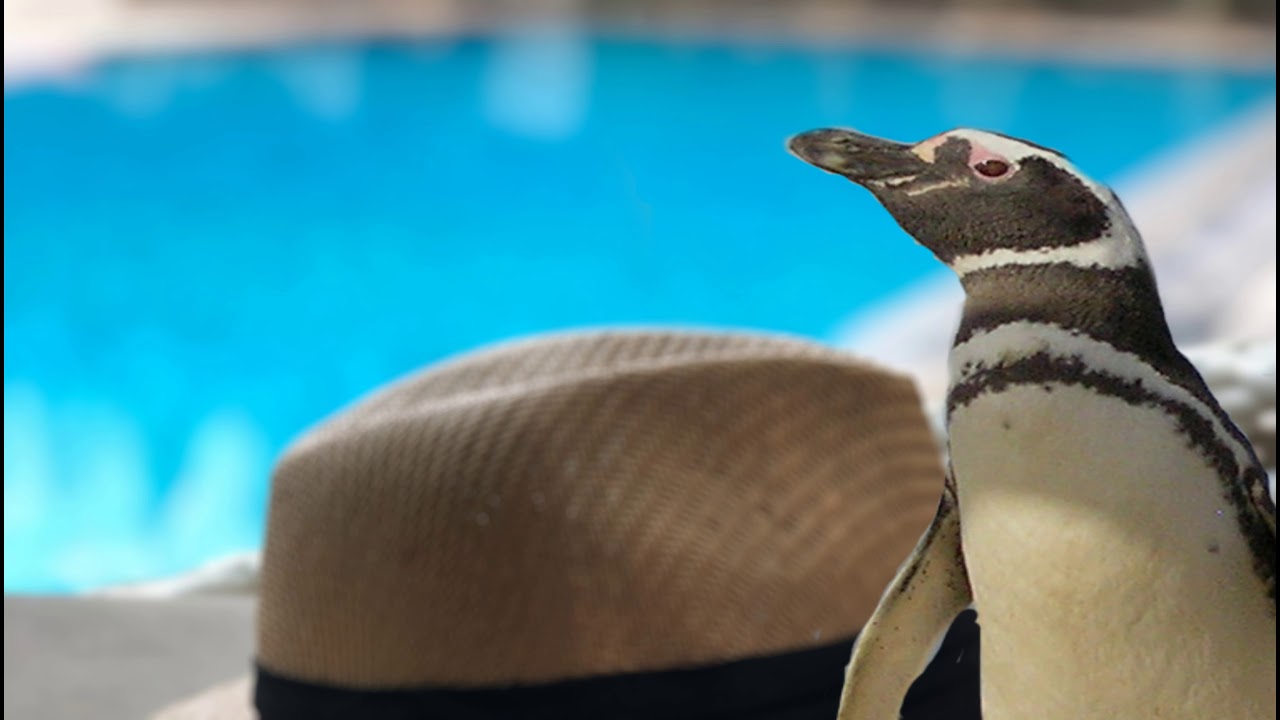 Grab your hat - YouTube