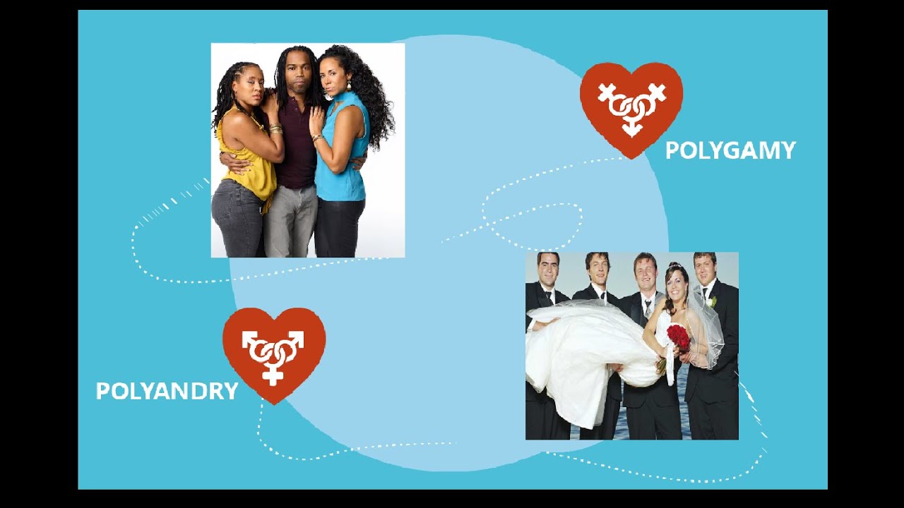 Polygamy is Dangerous ? #polygamy #polyandry #Sex - YouTube