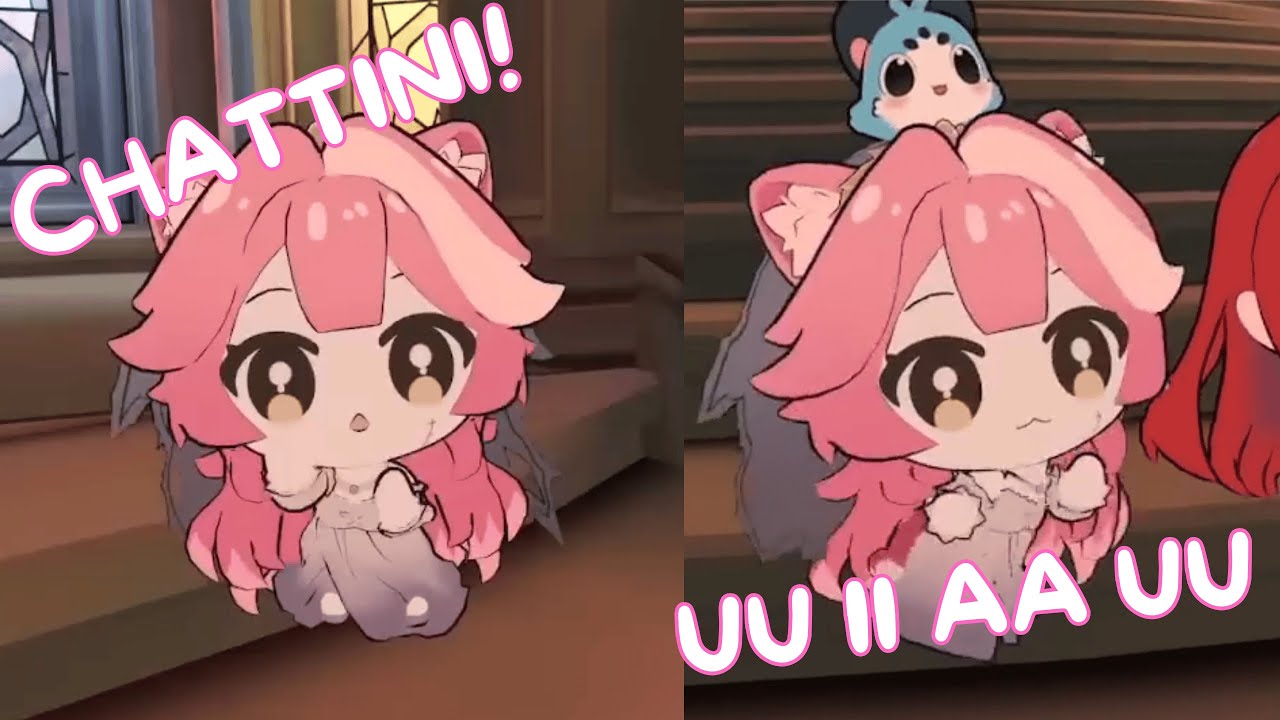 Cute Beeg Cat Youtube
