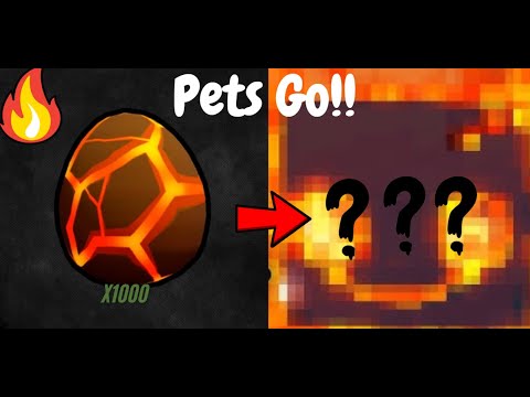 I USED 800+ NEW VOLCANIC EGGS AND HERES WHAT I GOT IN PETS GO I ROBLOX ...