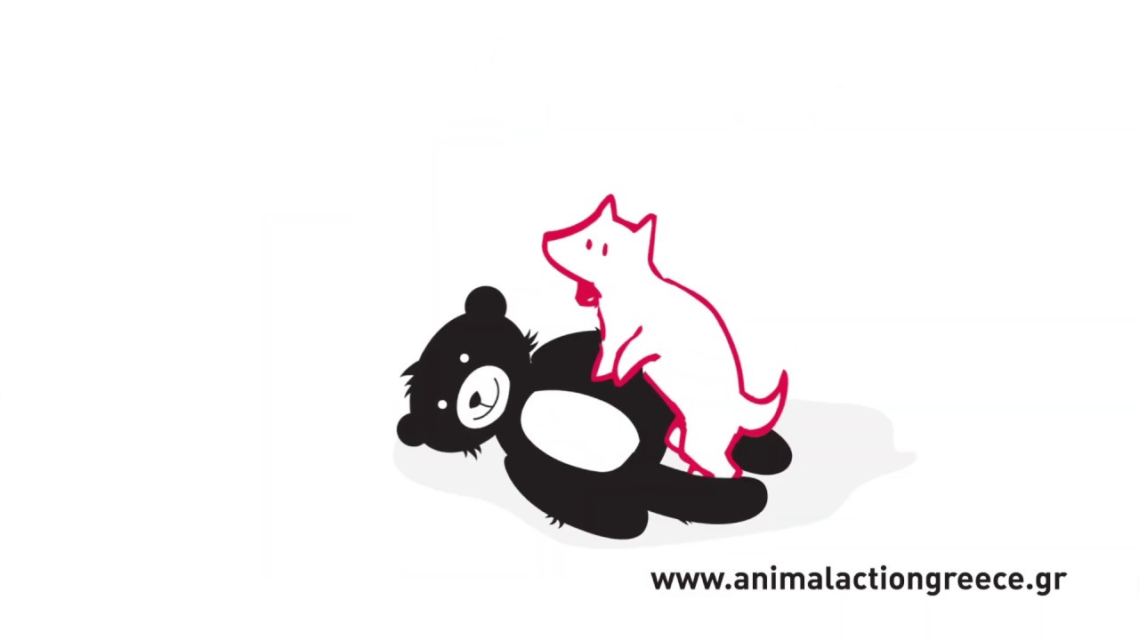 Πηδηχτούλης 2019 - Animal Action Hellas - YouTube