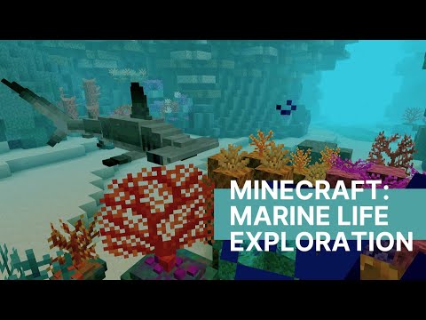 marine biologist roleplay exploration in minecraft - YouTube