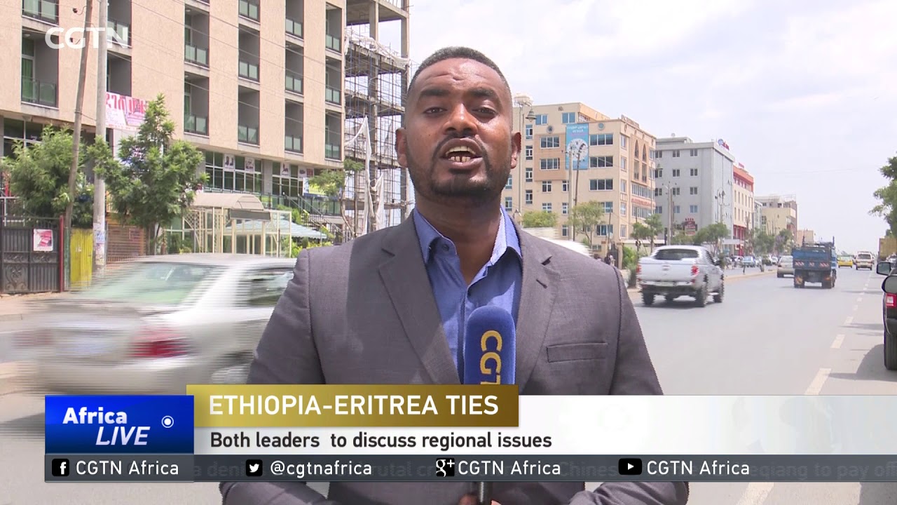 President Afewerki on 2 day to visit for bilateral talks - YouTube