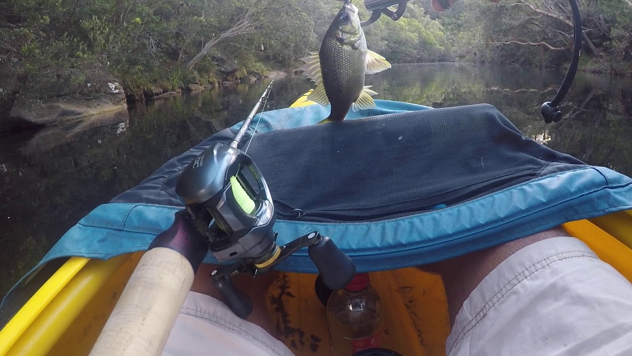 possible yowie roaring while out fishing a western Sydney river - YouTube