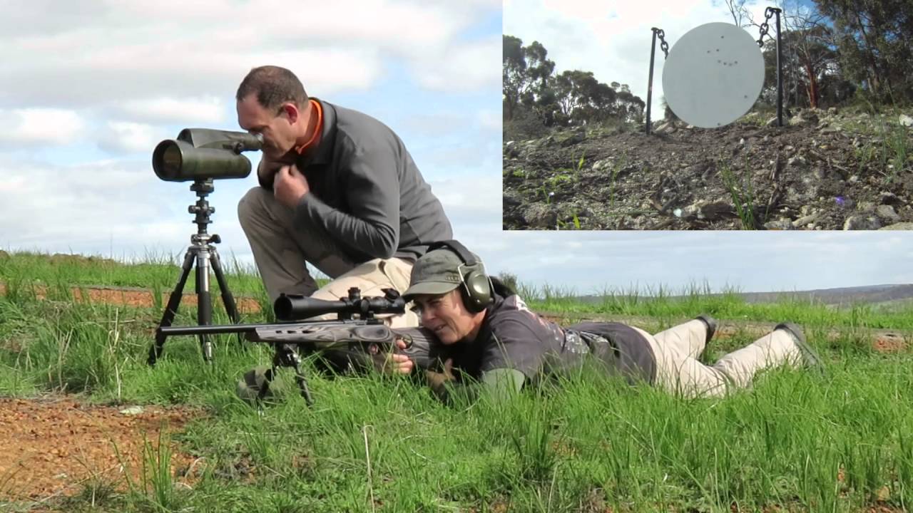 17 Hornet CZ 527 target practise (500 yards) - YouTube