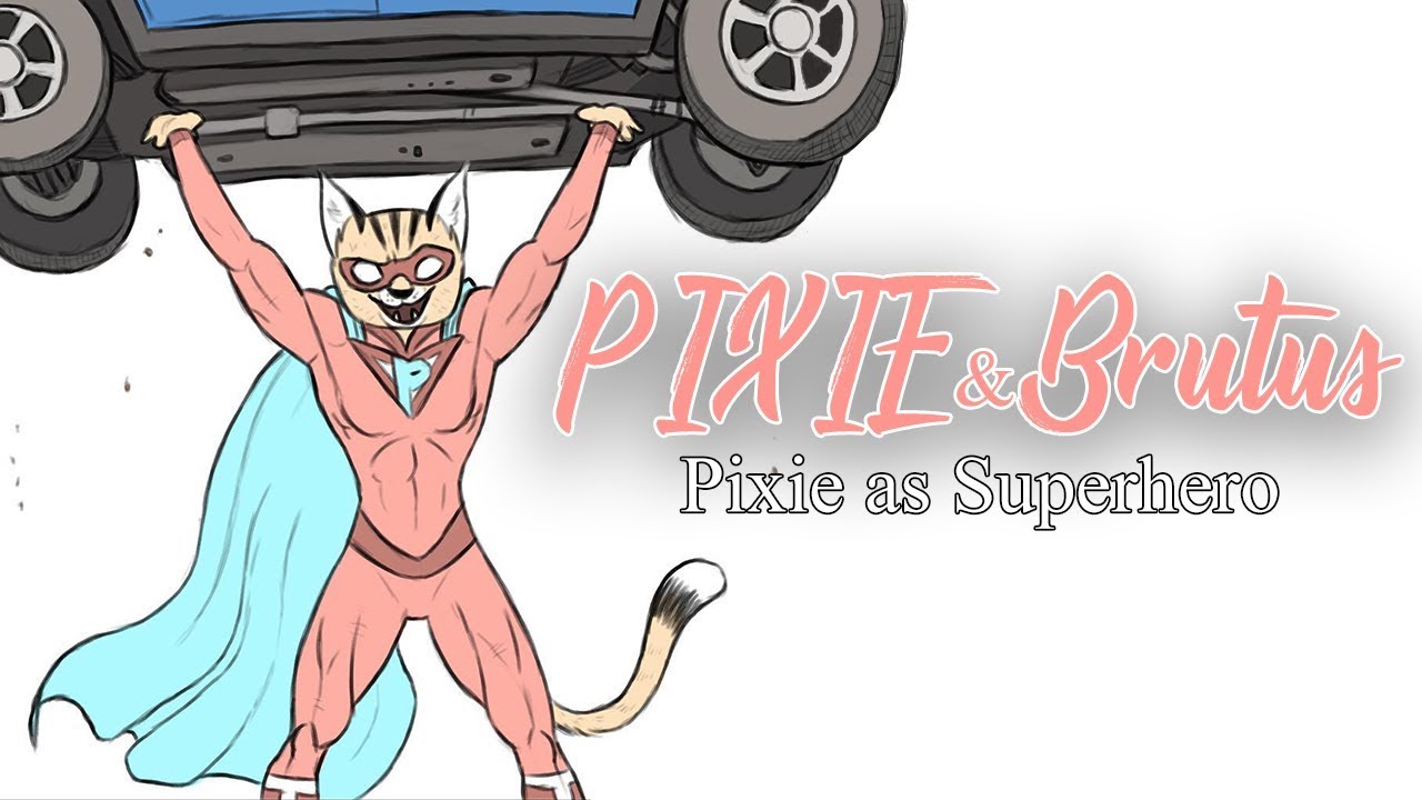 Superhero Pixie | Pixie and Brutus Comic Dub - YouTube