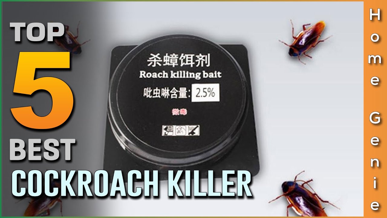 Best Cockroach Killers Buying Guide - Top 5 Review [2023] - YouTube